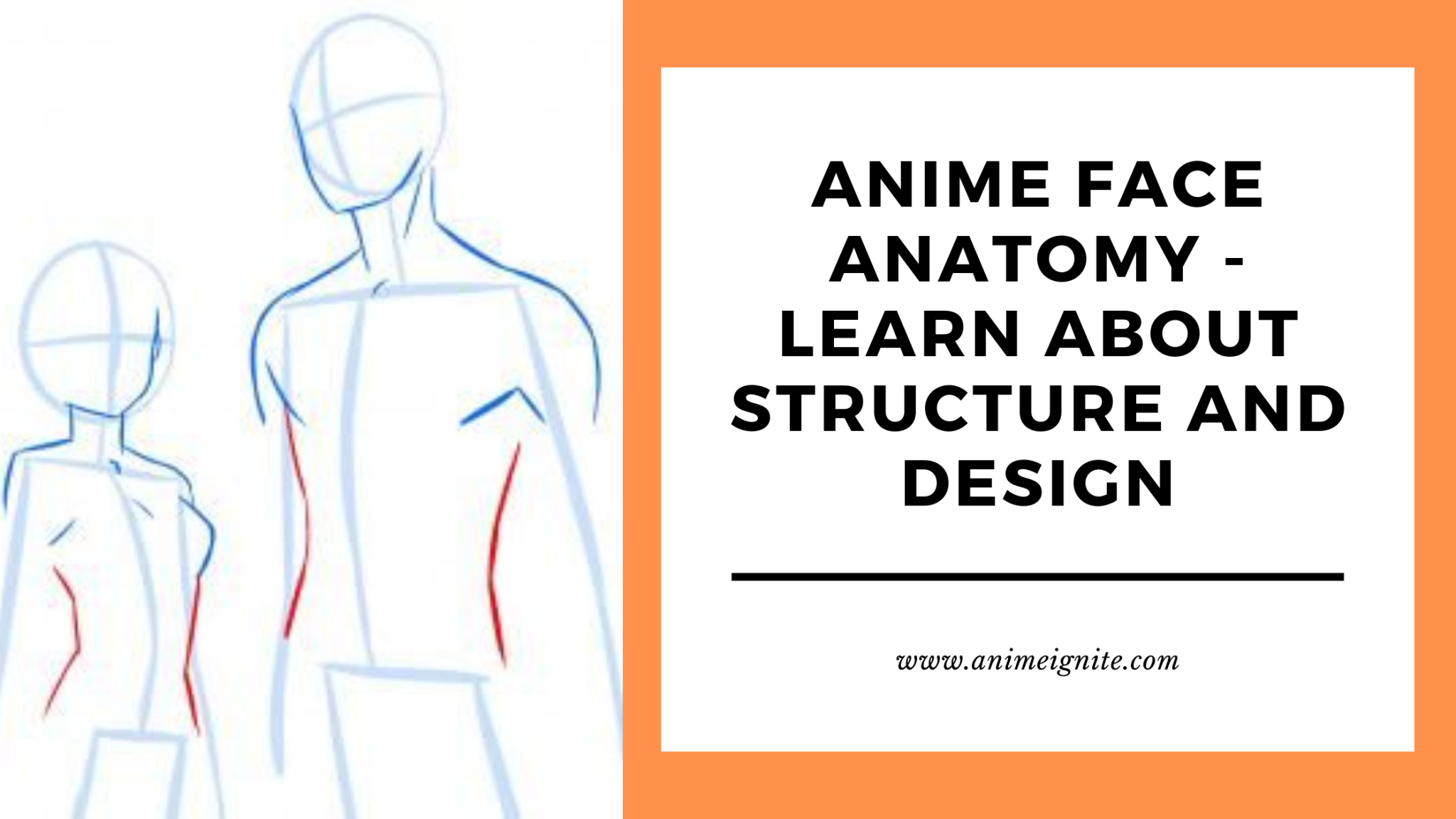 Anime Face Anatomy - Learn all about Structure and Design - Anime Ignite